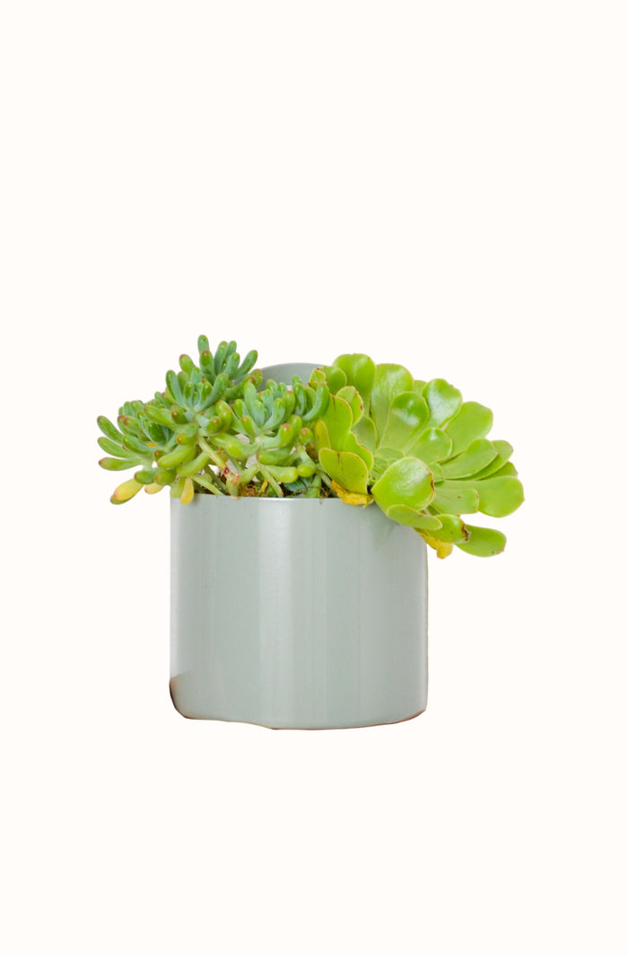 Collections – Growme Melbourne